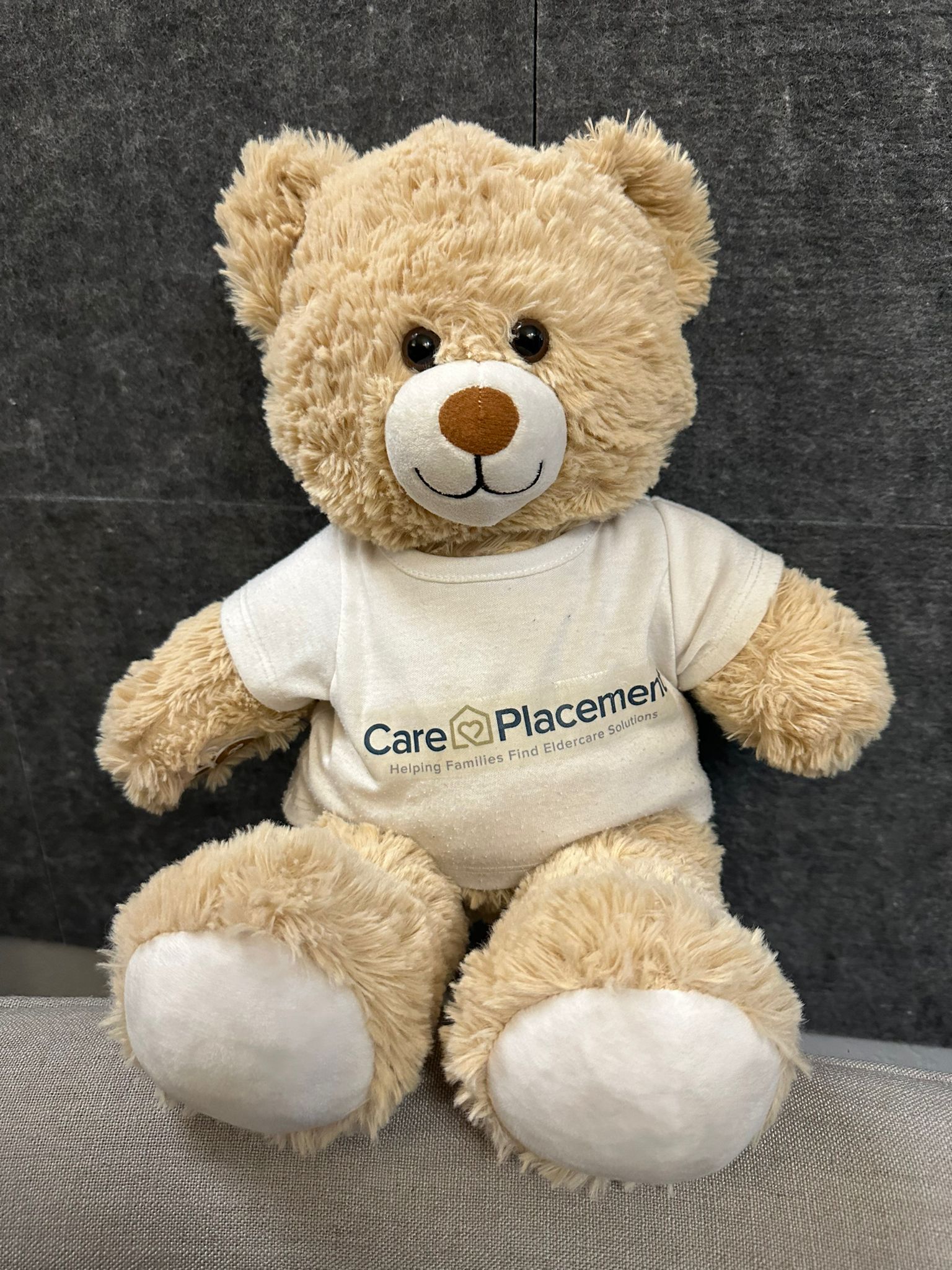 About Care Placement - Care Placement
